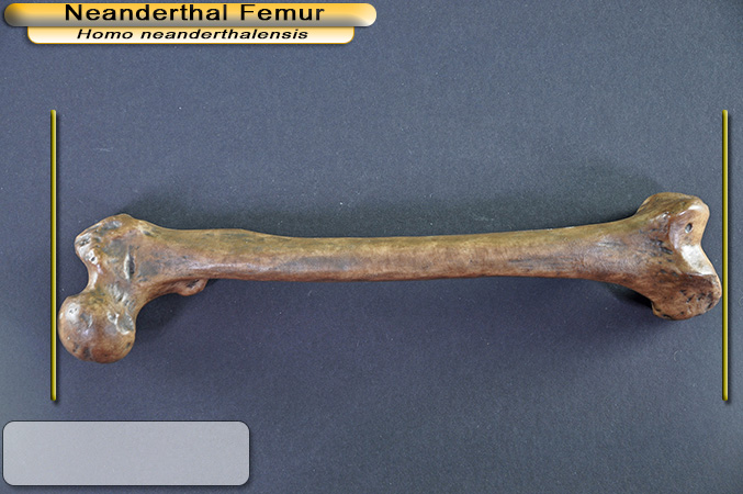VFT measurement tool